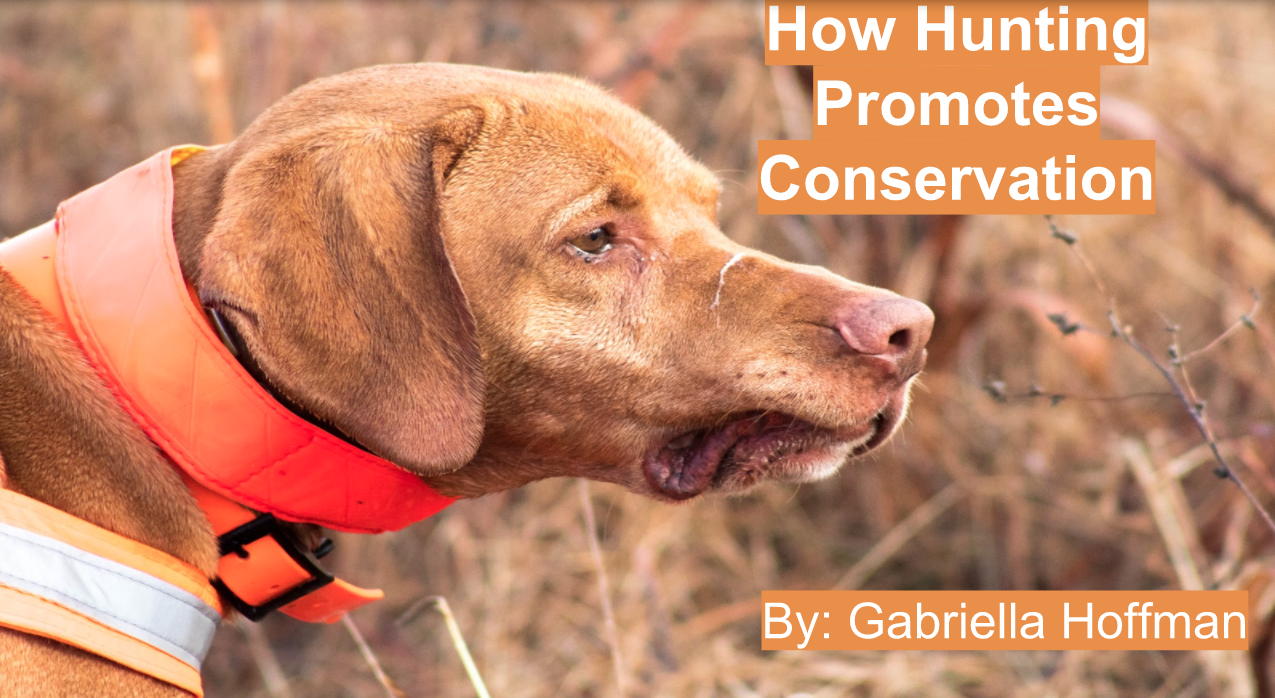 Book a "Hunting Is Conservation" Speech at Your Campus or Future Event ...